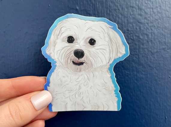 Maltese STICKER White Dog Sticker 2.71 X 3 - Etsy