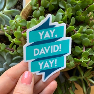 Yay, David! Yay! Sticker - Etsy