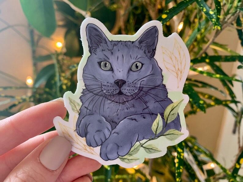 Grey Cat MAGNET Chonky Russian Blue Cat Magnet - Etsy