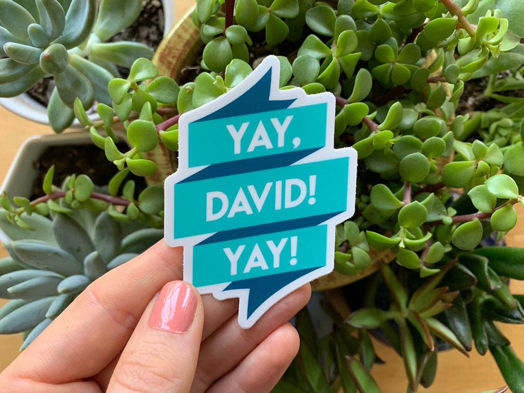 Yay, David! Yay! Sticker - Etsy