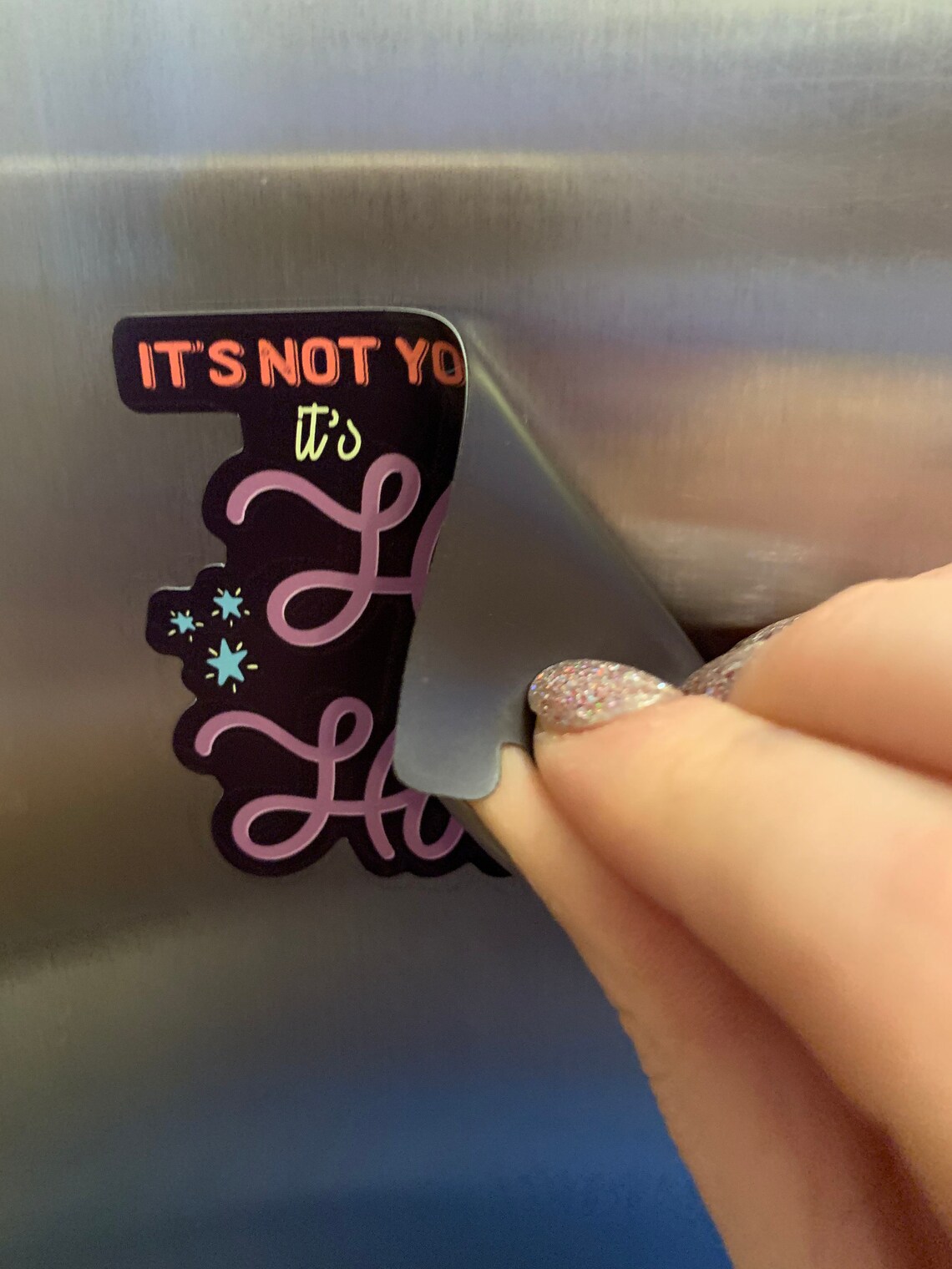 It's Not You It's Not Me It's Houdini MAGNET - Etsy