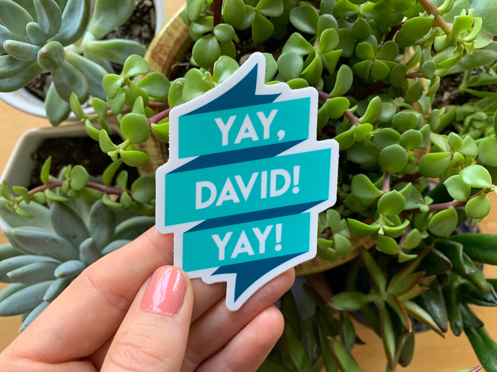 Yay David Yay MAGNET | Etsy