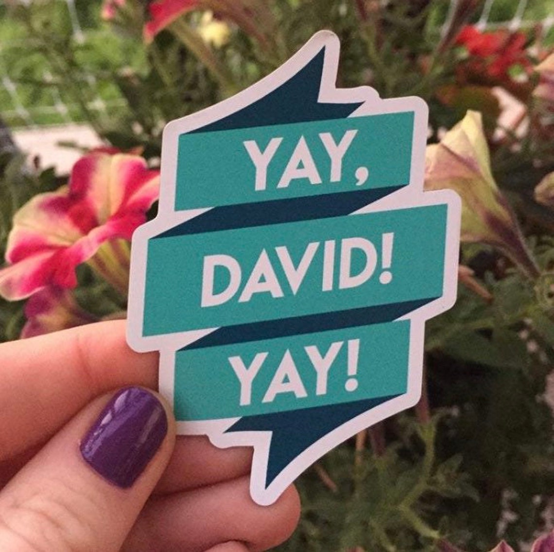 Yay David Yay MAGNET | Etsy