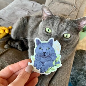 Grey Cat MAGNET Chonky Russian Blue Cat Magnet - Etsy
