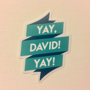 Yay, David! Yay! Sticker - Etsy