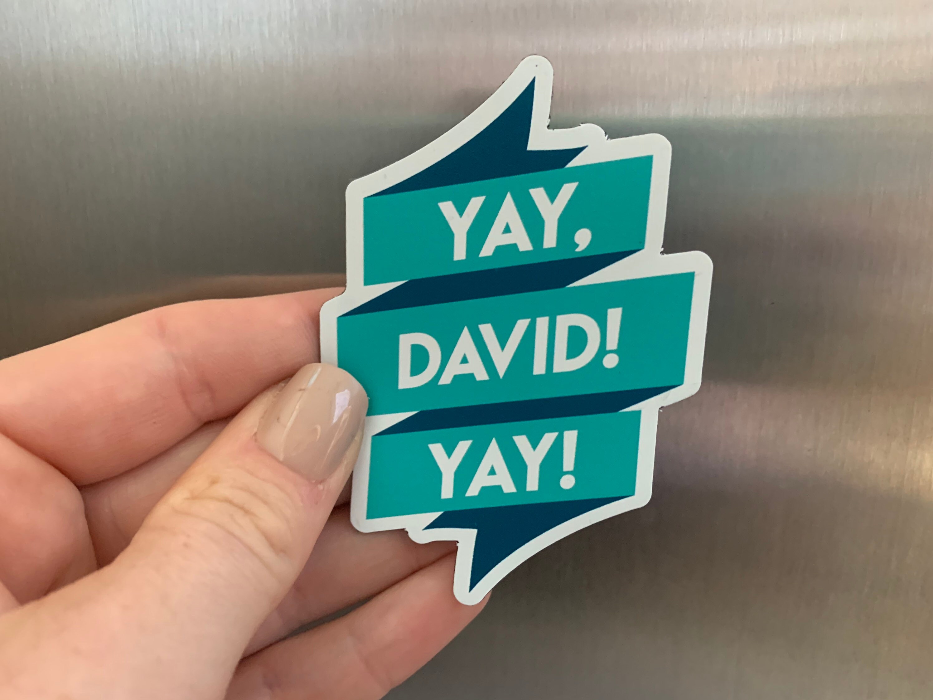 Yay David Yay MAGNET | Etsy