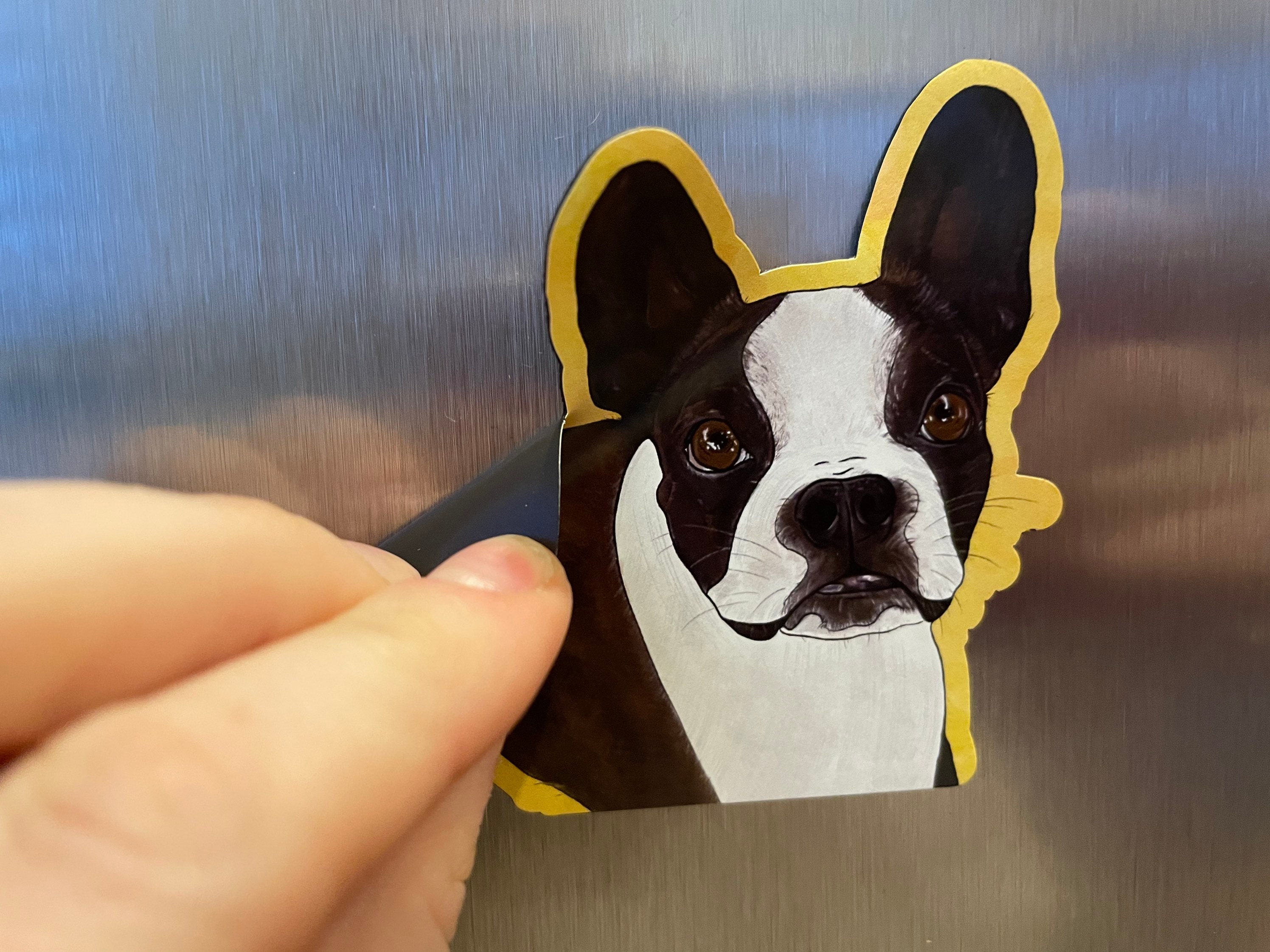 Boston Terrier MAGNET Black & White Dog Magnet | Etsy