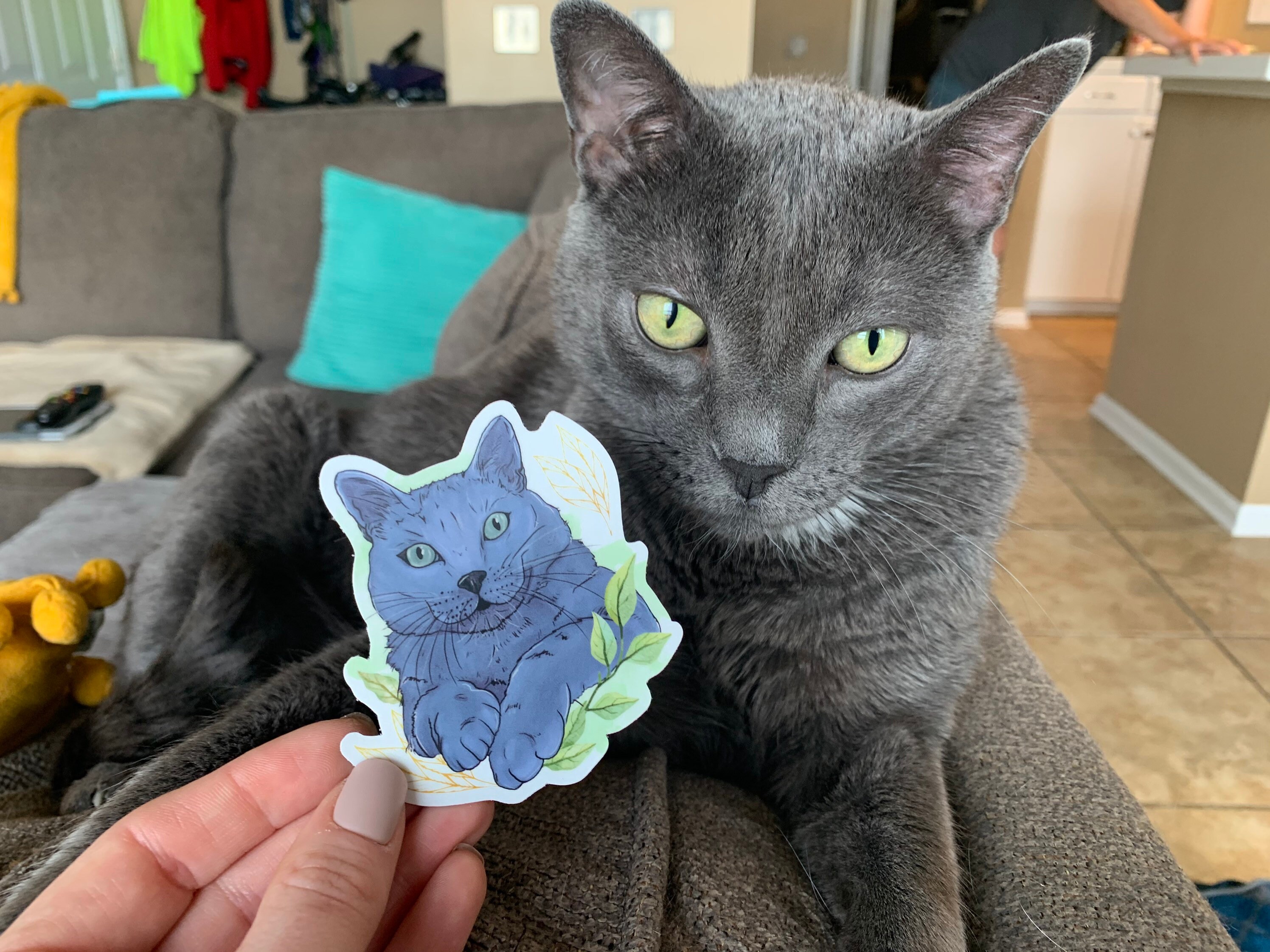 Grey Cat Sticker Chonky Russian Blue Cat Vinyl Decal | Etsy