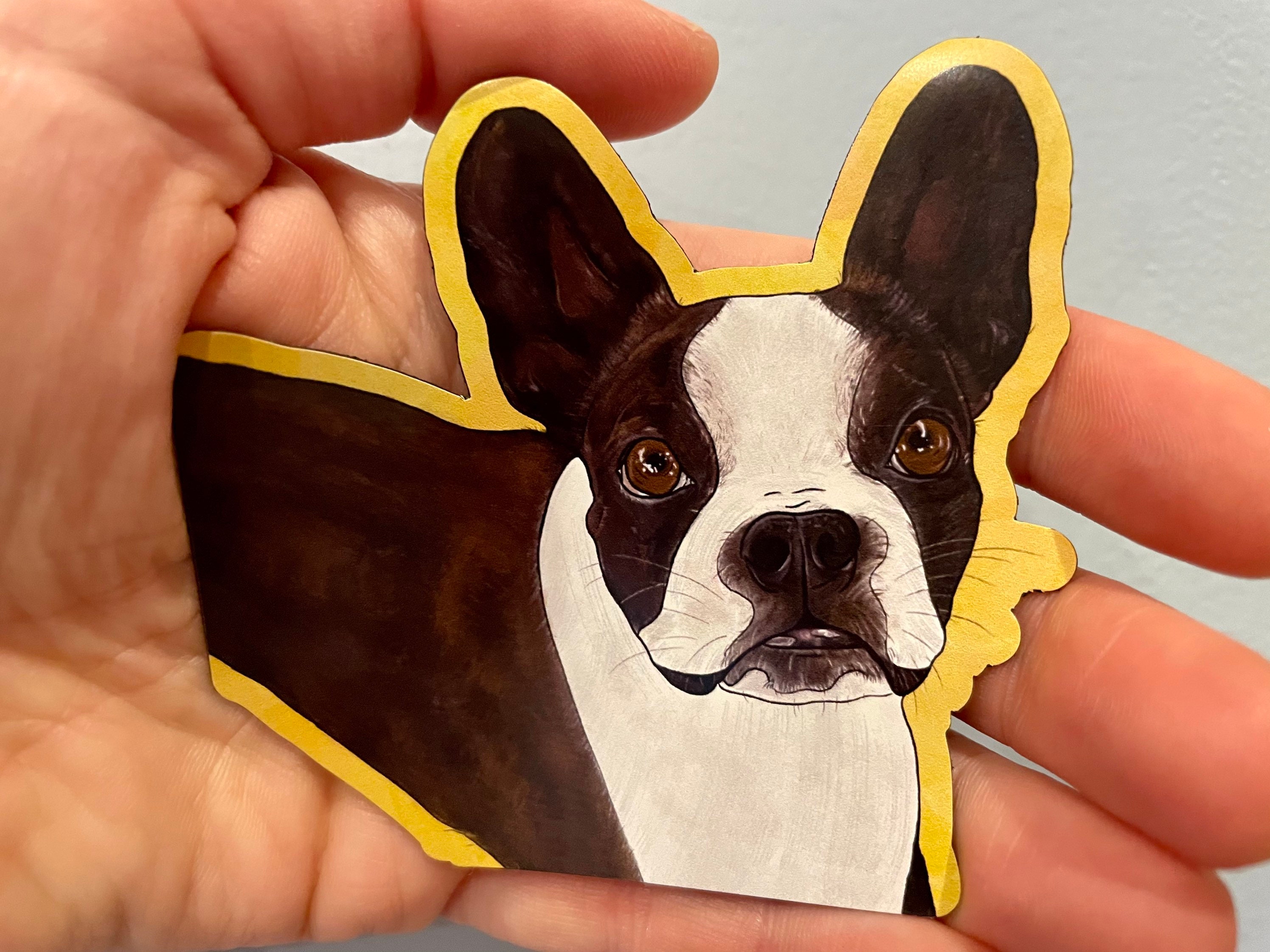 Boston Terrier MAGNET Black & White Dog Magnet | Etsy