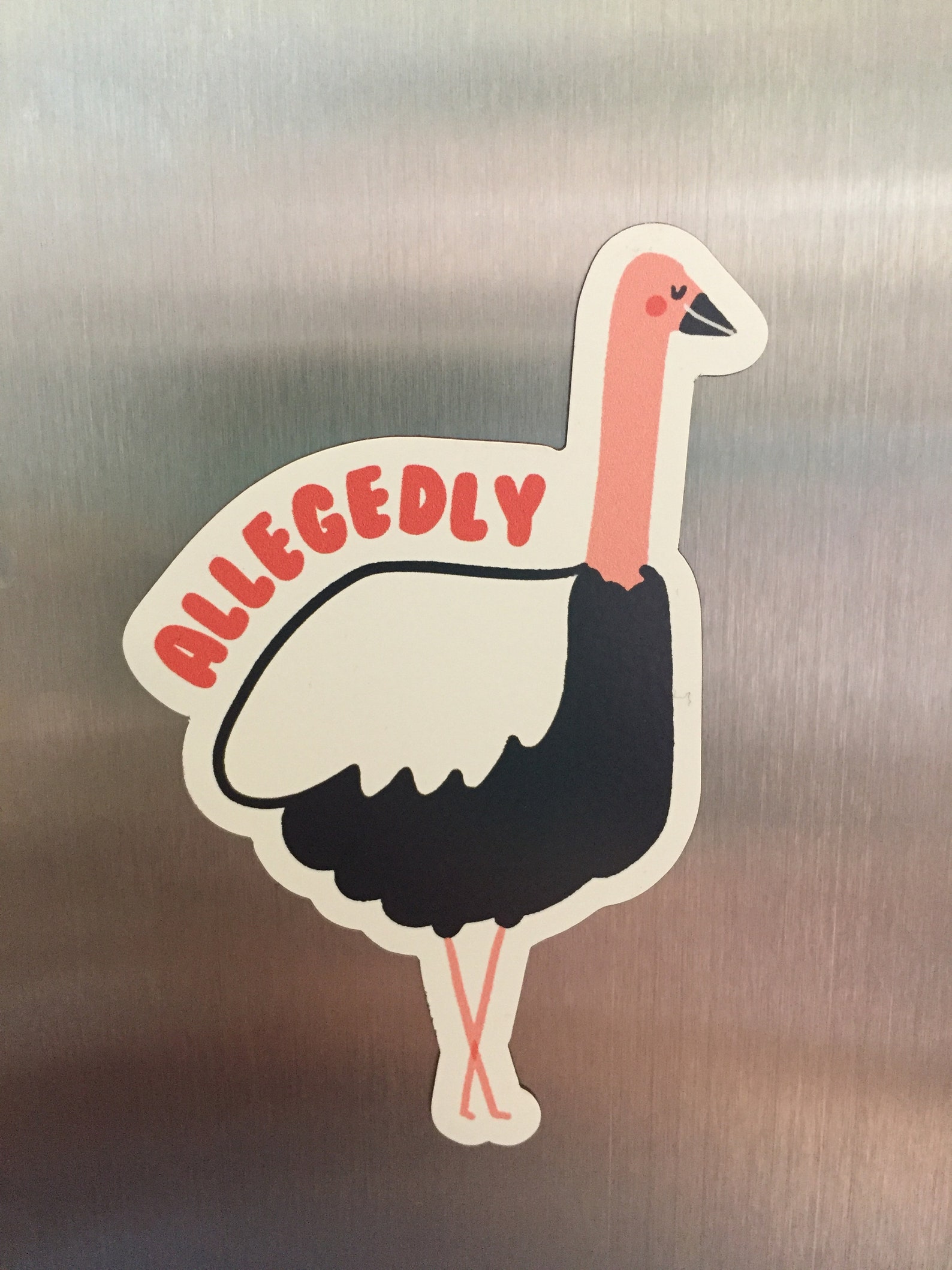 Allegedly Ostrich Magnet - Etsy