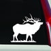 Bull Elk Vinyl Car Decal Indoor/outdoor Hunting Sticker - Etsy
