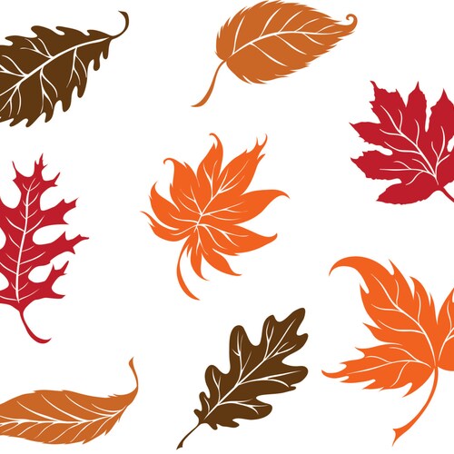 Autumn Leaves Wall Decals Tree Branch Stickers Fall - Etsy