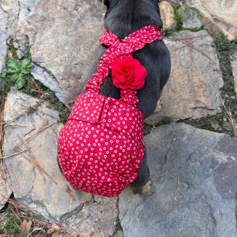 Red Tail Harness - Etsy