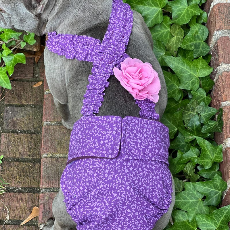 Tail Cover for Dog - Etsy