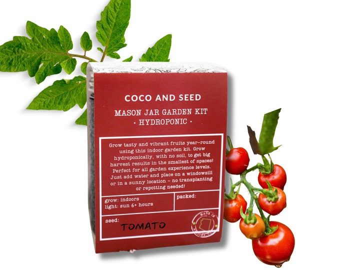 Mason Jar Hydroponic Kit Set With Organic Seeds cherry Tomato Tiny Tim ...