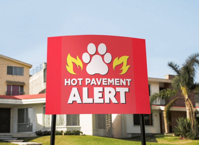 Hot Pavement Warning Sign for Dogs Hot Asphalt Paws Dog - Etsy