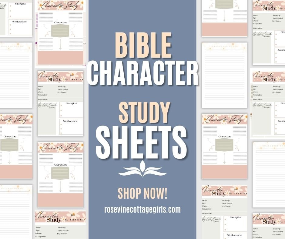 Character Bible Study Guide | Bible Character Worksheets | Bible ...