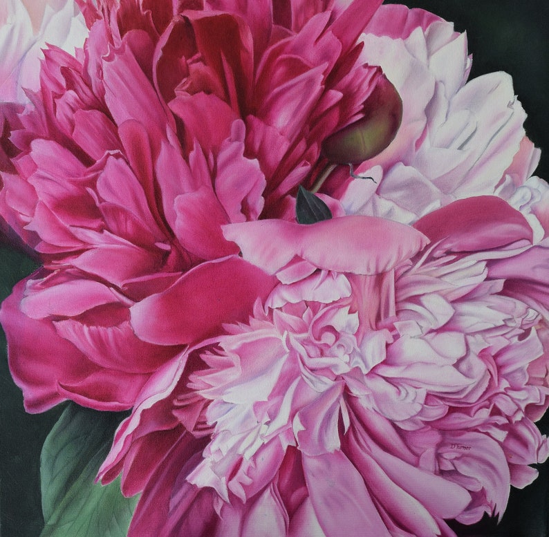 PEONY CANVAS ART Peony Flower Art Pink Peony Art Peony | Etsy