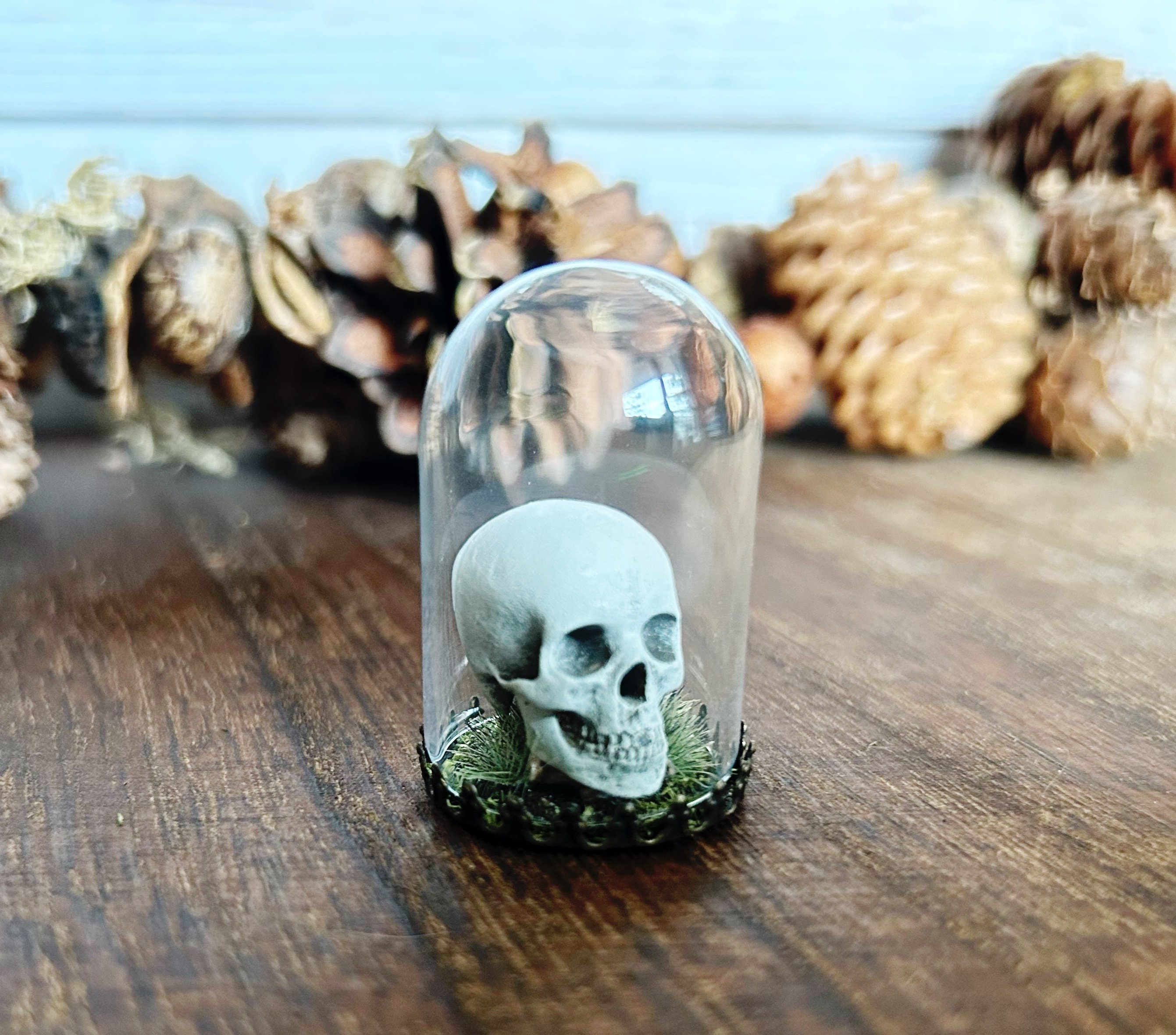 Tiny Skull Diorama / Glass Dome / Skull Diorama / Day of the Dead ...