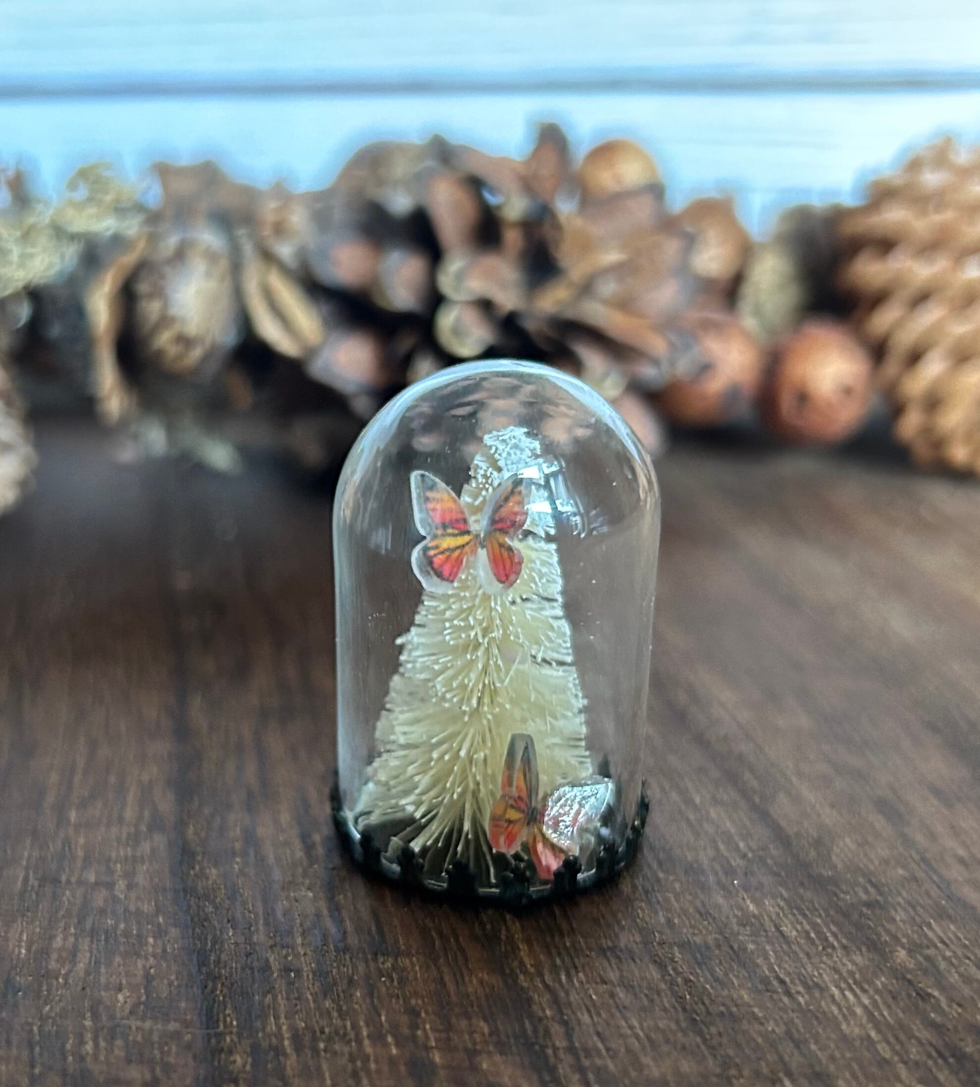 Tiny Butterfly Diorama / Mini Diorama / Monarch Butterfly / Micro ...