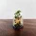 Tiny Glass Diorama / Mini House Diorama / Micro Diorama / - Etsy