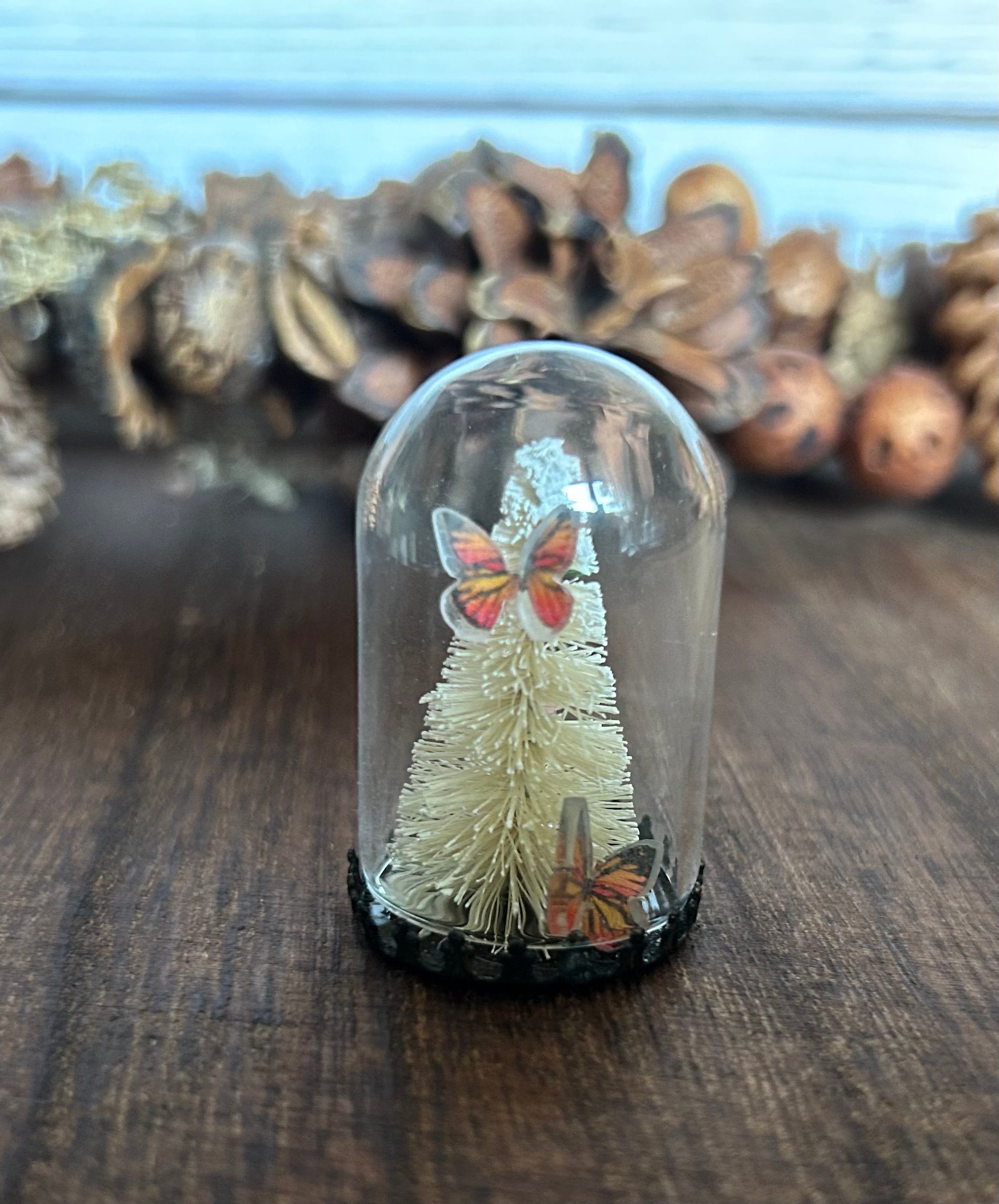 Tiny Butterfly Diorama / Mini Diorama / Monarch Butterfly / Micro ...