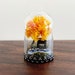 Tiny Glass Diorama / Waterfall Diorama / Bonsai / Cave / Japanese ...