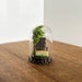 Tiny Glass Diorama / Mini House Diorama / Micro Diorama / - Etsy