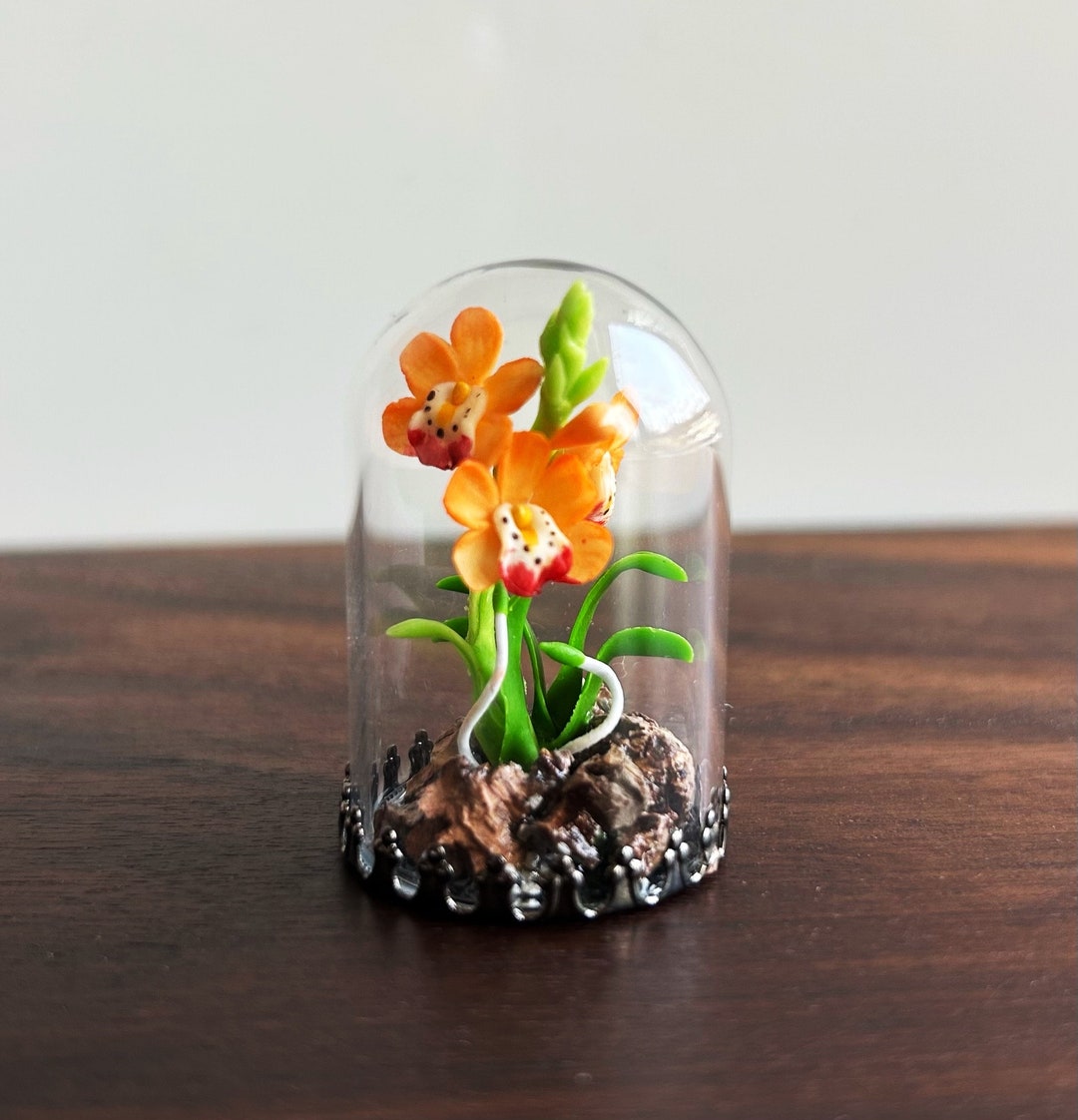Tiny Orchid Glass Dome / Botanical Specimen / Orange Orchid / Micro ...
