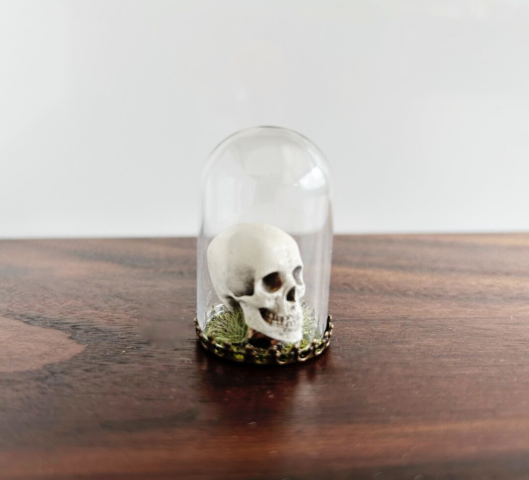 Tiny Skull Diorama / Glass Dome / Skull Diorama / Day of the Dead ...