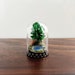 Tiny Glass Diorama / Waterfall Diorama / Bonsai / Cave / Japanese ...