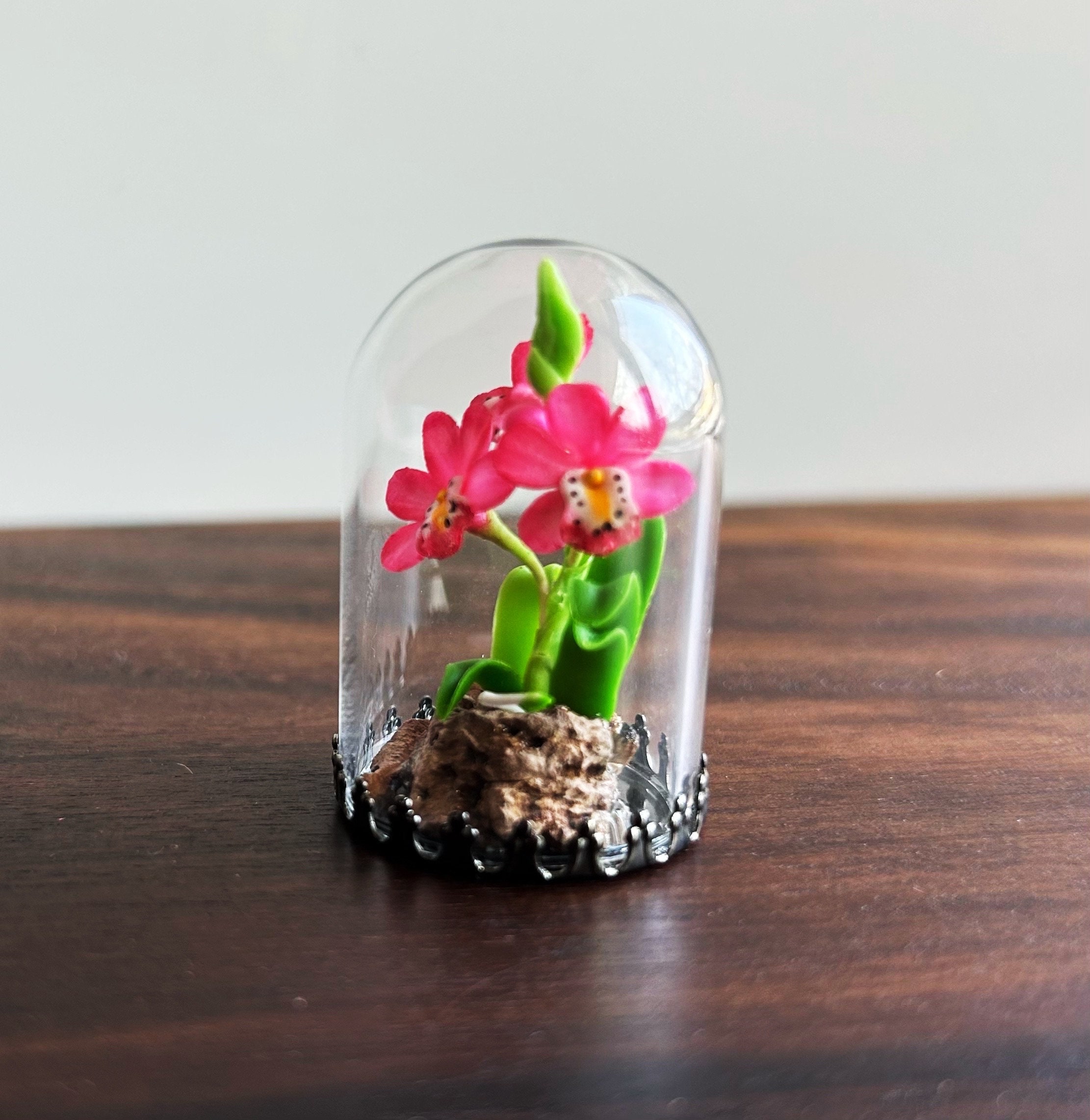 Tiny Orchid Glass Dome / Botanical Specimen / Pink Orchid / Micro ...