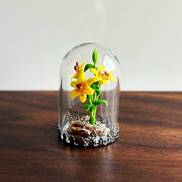 Glass Dome Diorama - Etsy