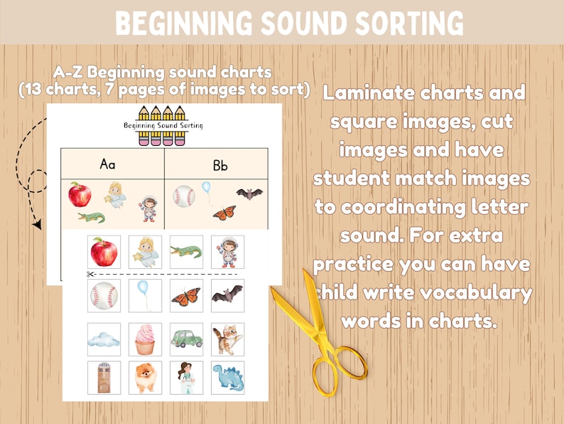 ABC Starter Kit, Beginning Sounds for Preschool, Kindergarten ...