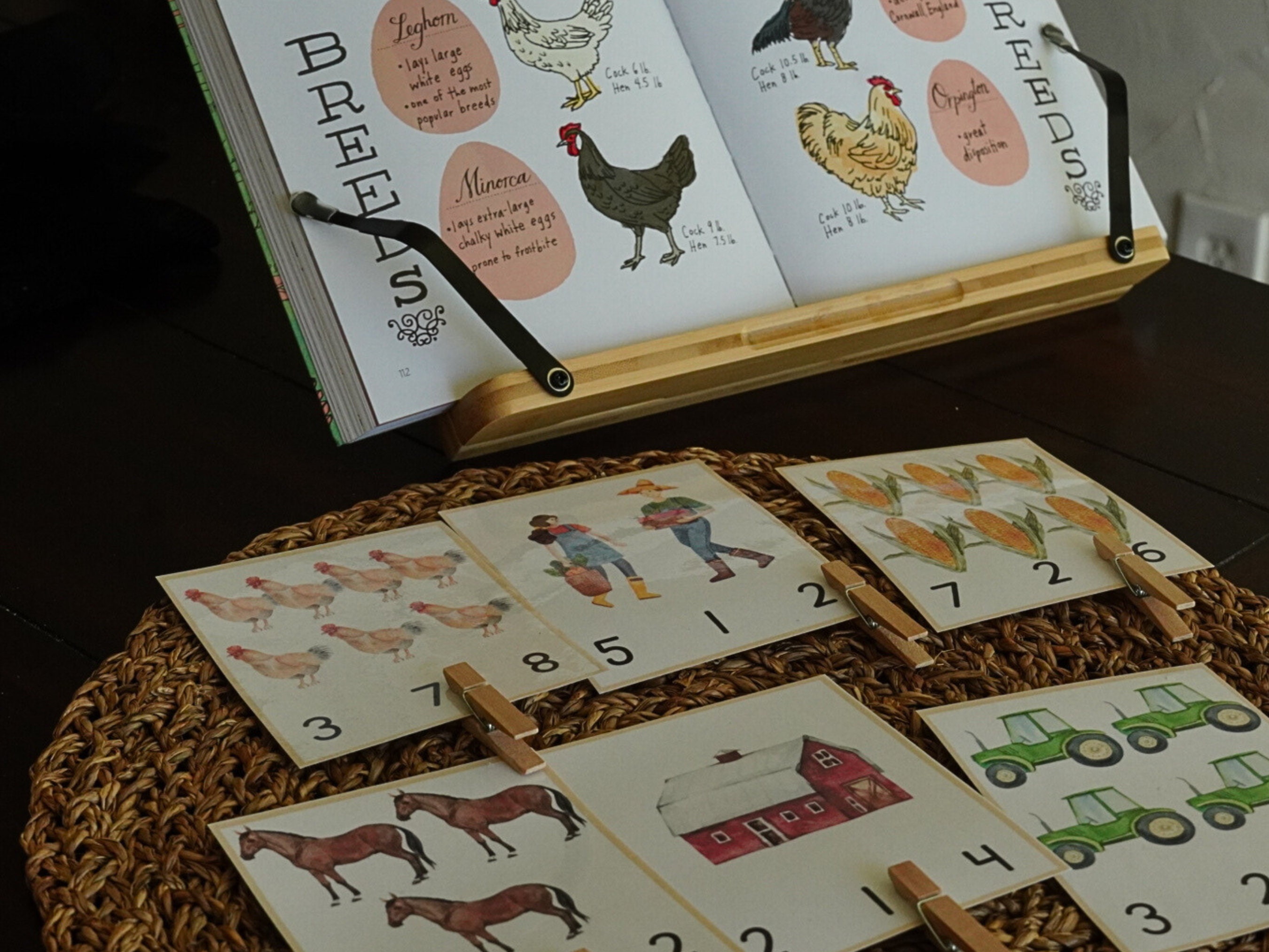 Farm Animals Counting Cards - Montessori Preschool Learning, Printable ...