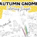 Autumn Gnomes Coloring Pages | Printable Coloring Book | Instant ...