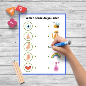 Body Parts Activities for Kids Bundle (light Skin Tone) | Printable ...