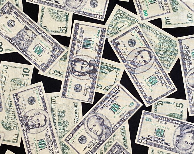 Money Fabric Dean's Big Money by Midcoast Miscellany Green Cash Money ...