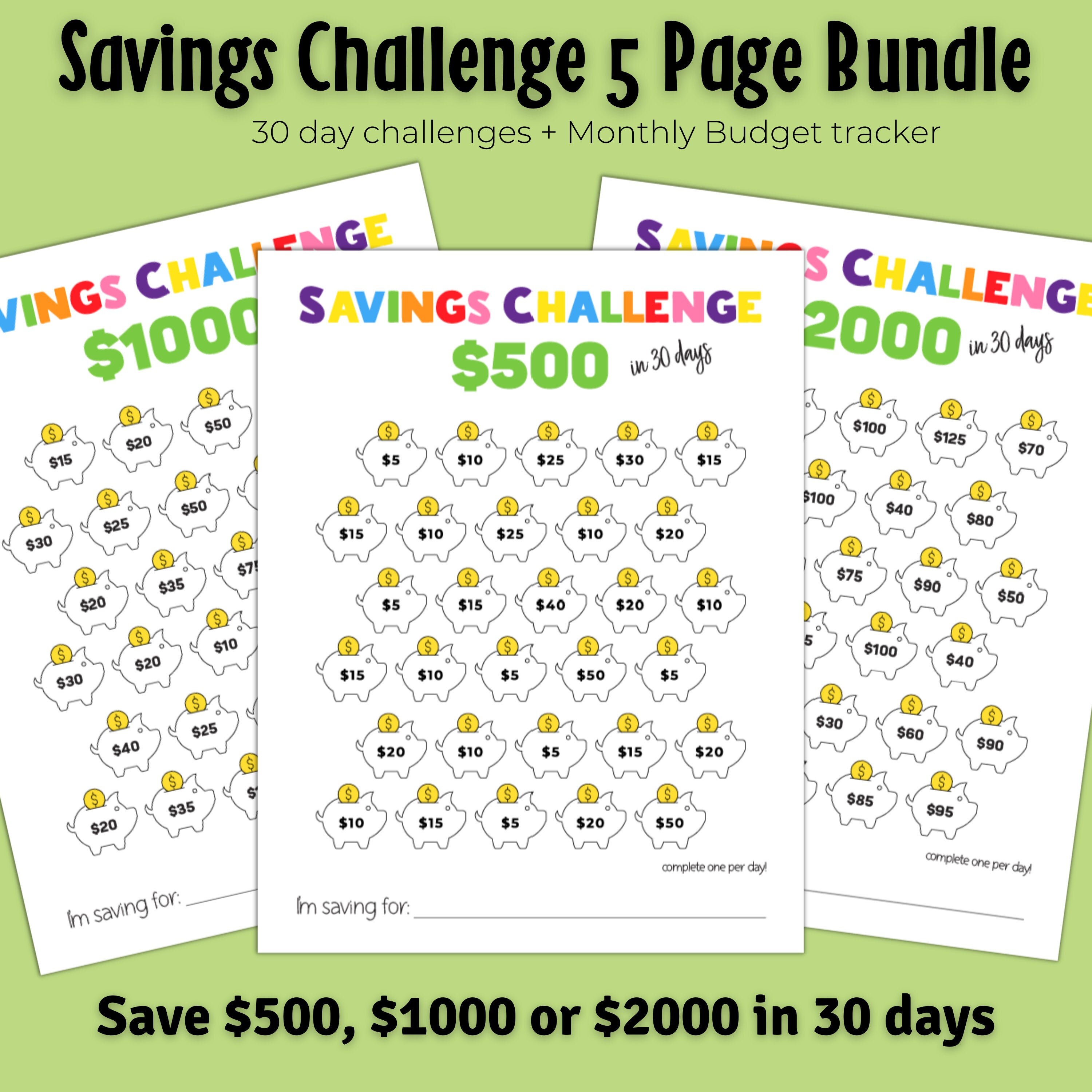 The Best Savings Challenge Bundle Includes Monthly Budget - Etsy