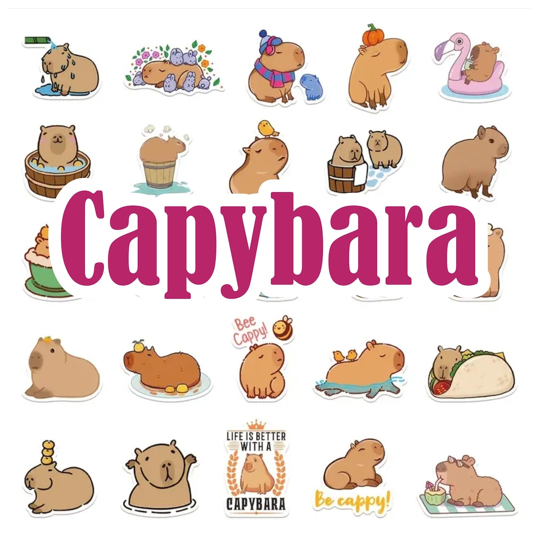 Capybara Stickers Free Shipping - Etsy
