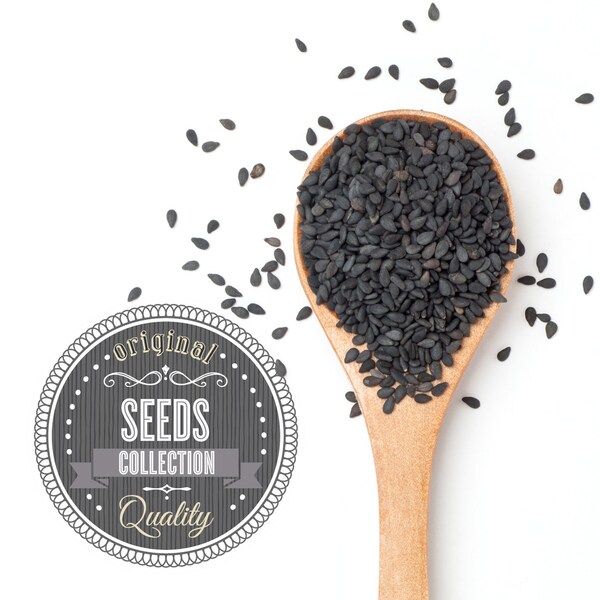 Seed Labels - Etsy