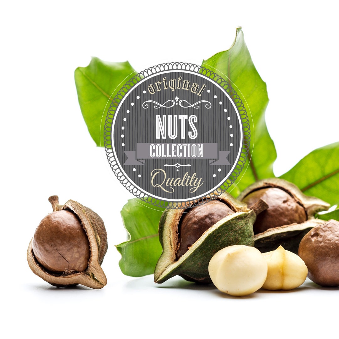 RETRO NUT Label Collection - Etsy