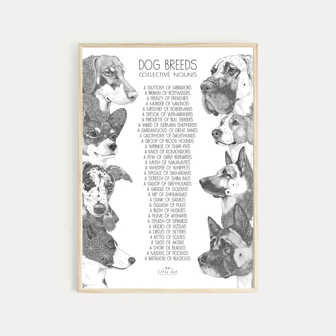 Dog Breeds - Poster Print - Collective Nouns - Mandala Artwork ...