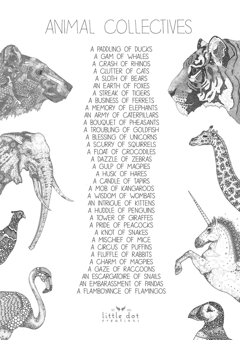 Animal Collectives Part 1 - Poster Print - Collective Nouns - Mandala ...