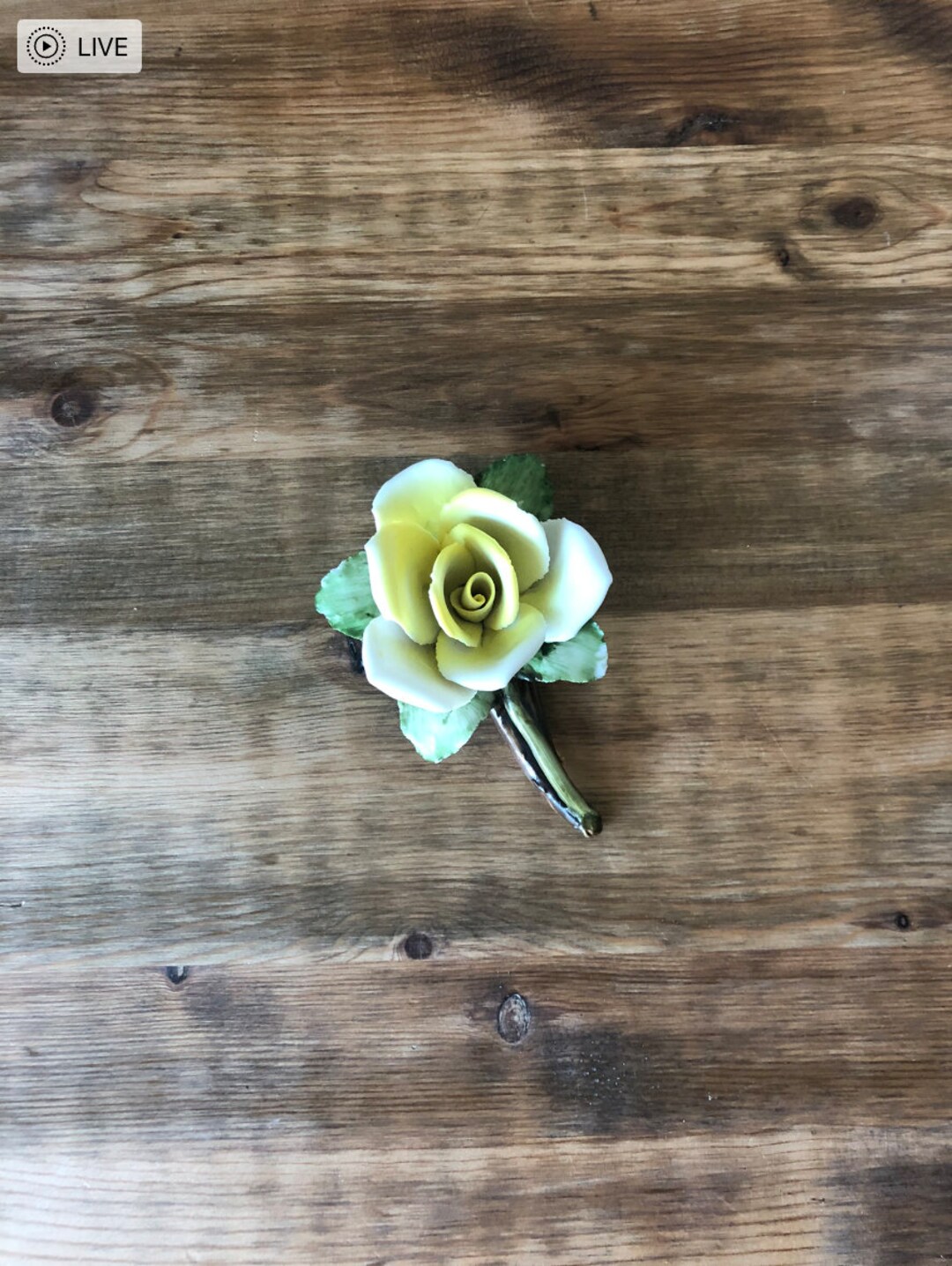 Small Porcelain Rose-yellow-ombre Color-yellow to White-green Leaves ...