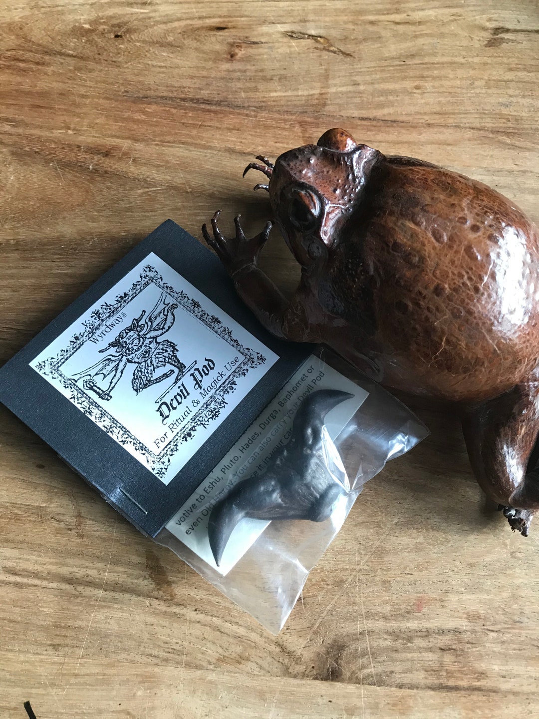 Devil Pod, Bat Nut, Bull Head Nut. - Etsy