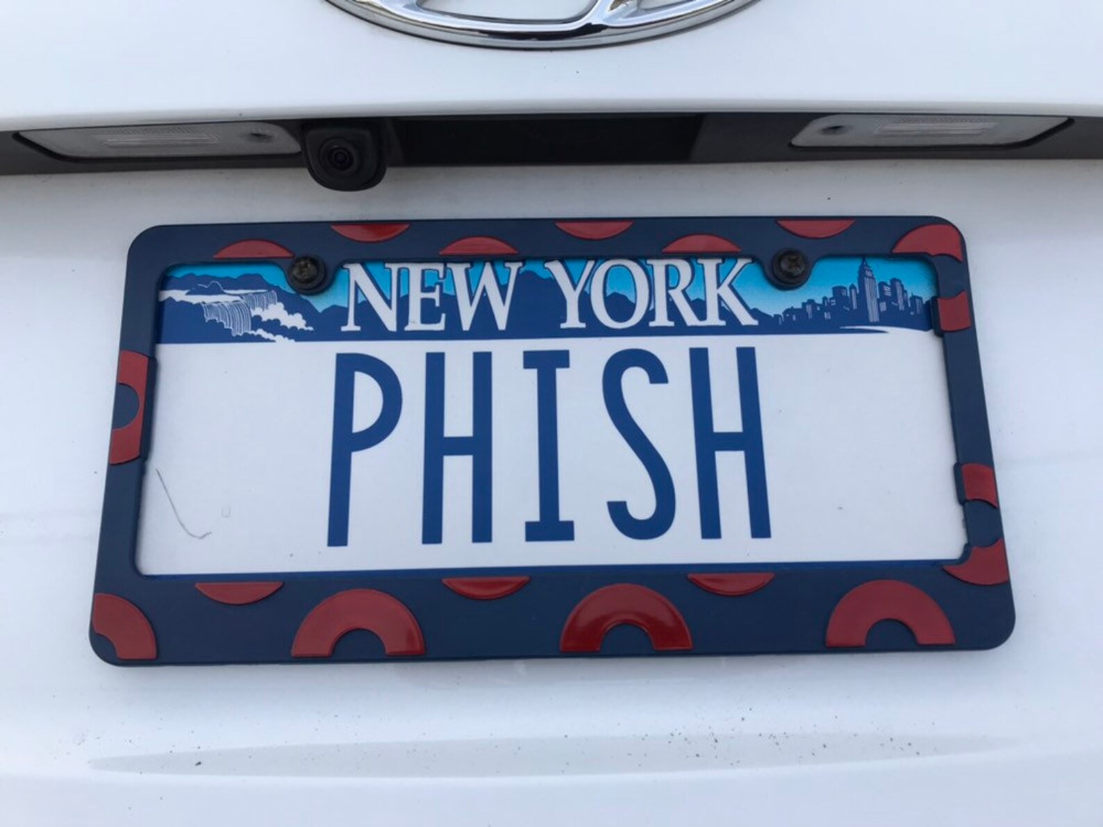Phish / Raised Donuts / Plastic License Plate Frame - Etsy