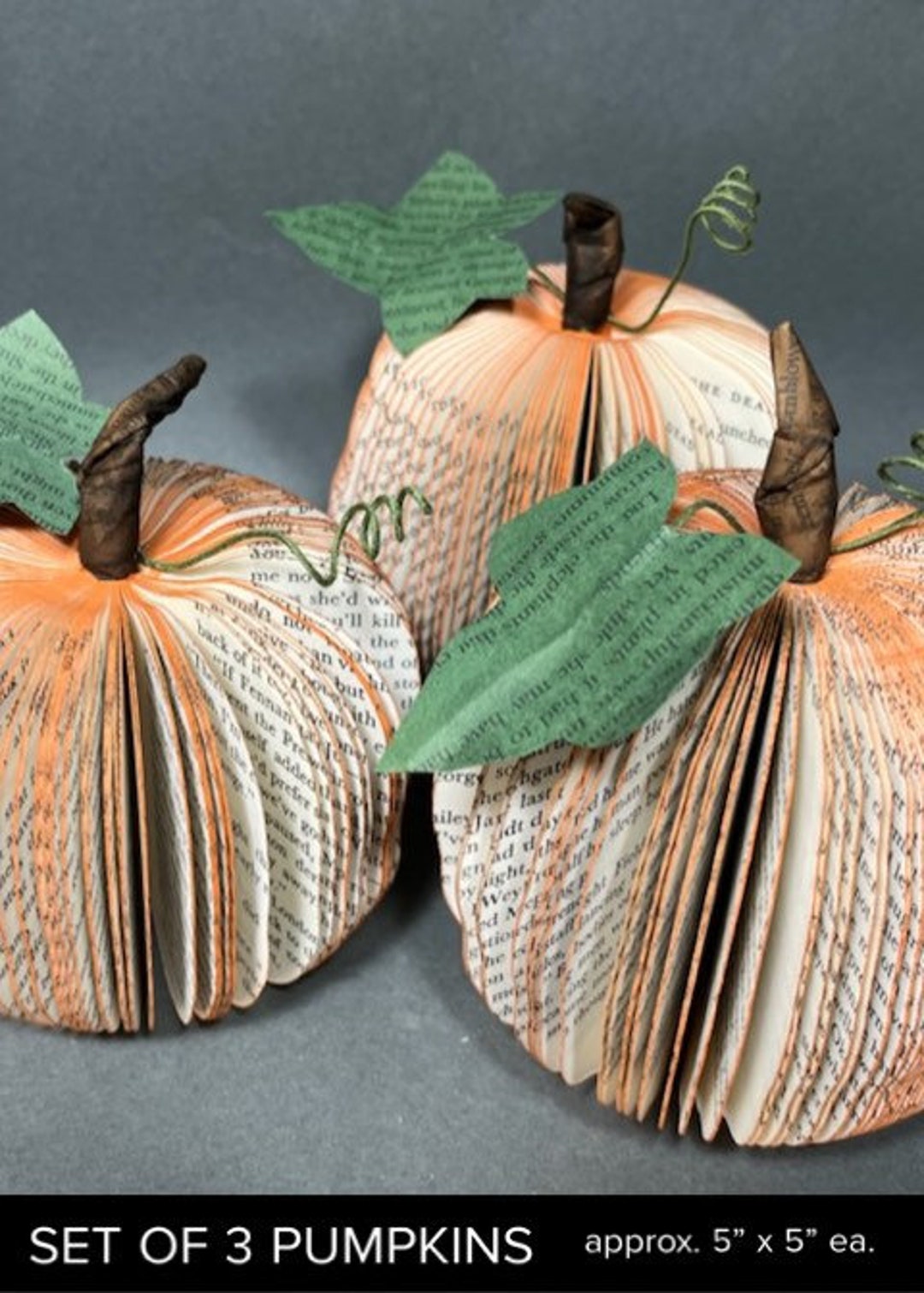 PUMPKINS GOLORE Fall Halloween thanksgiving Autumn Harvest Fruit Book ...