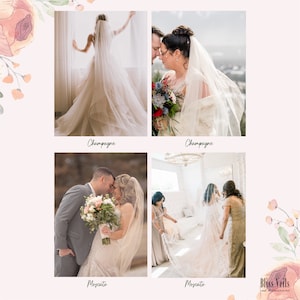 Veil Color Swatches, White, Ivory, off White, Champagne, Moscato, Blush ...