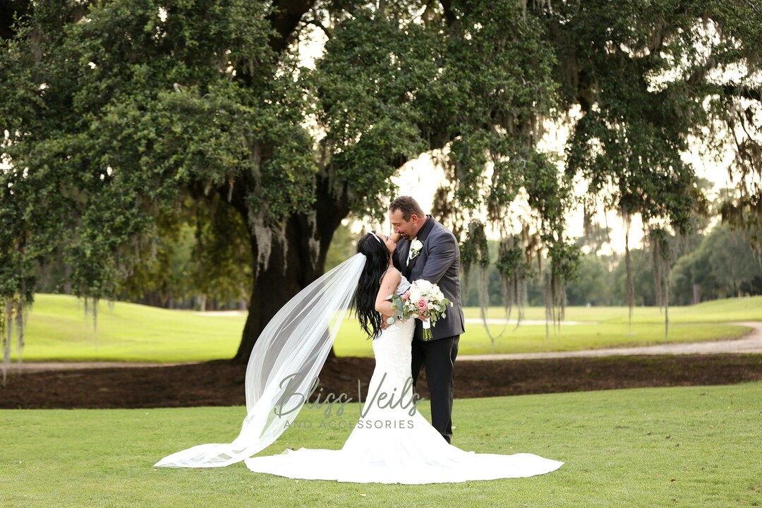 Sheer Simple Veil, Chapel Length Veil, Ivory Bridal Veil, Wedding Veil ...